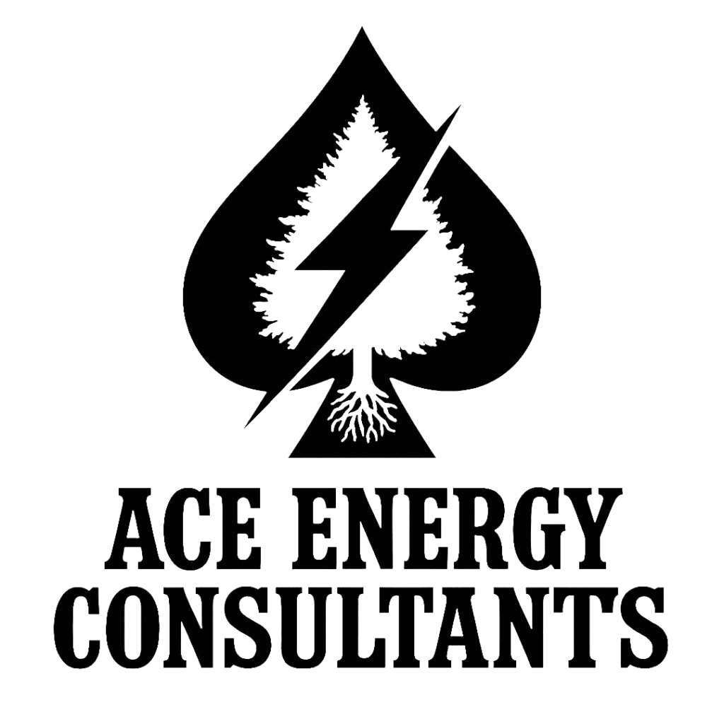 Ace Energy Consultants | Renewable Energy Project Experts